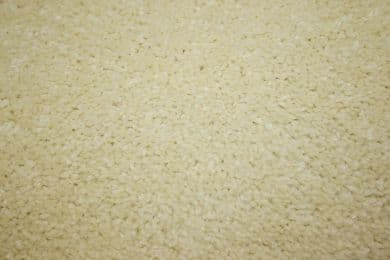 Regency Carefree Carpets: Luxor - Ivory