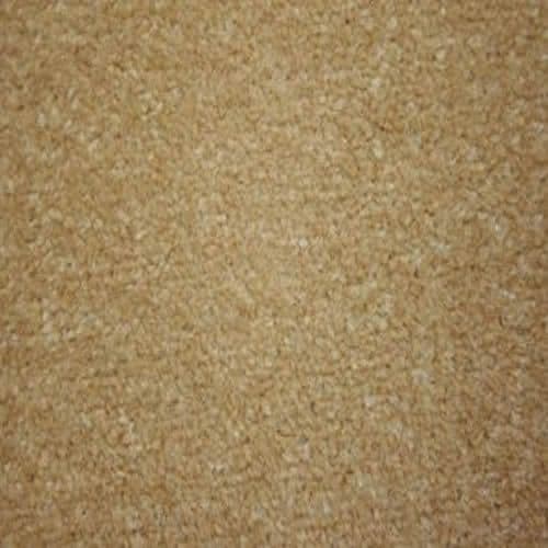 Regency Carefree Carpets: Cabaret Twist - Rattan